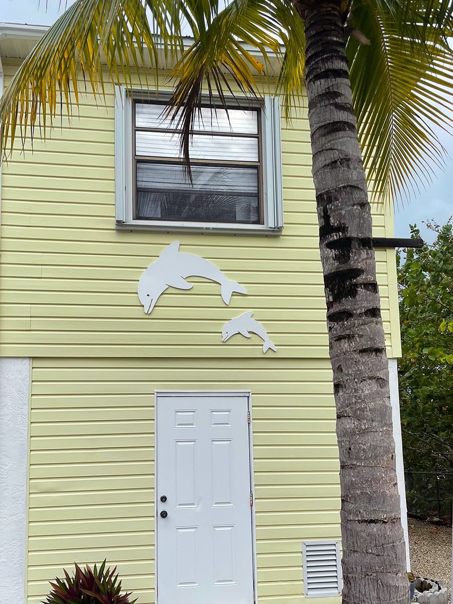 Dolphin Wall Art – Nature Brackets