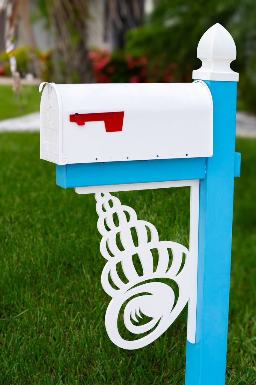 Wentletrap Shell Decorative Bracket – Nature Brackets