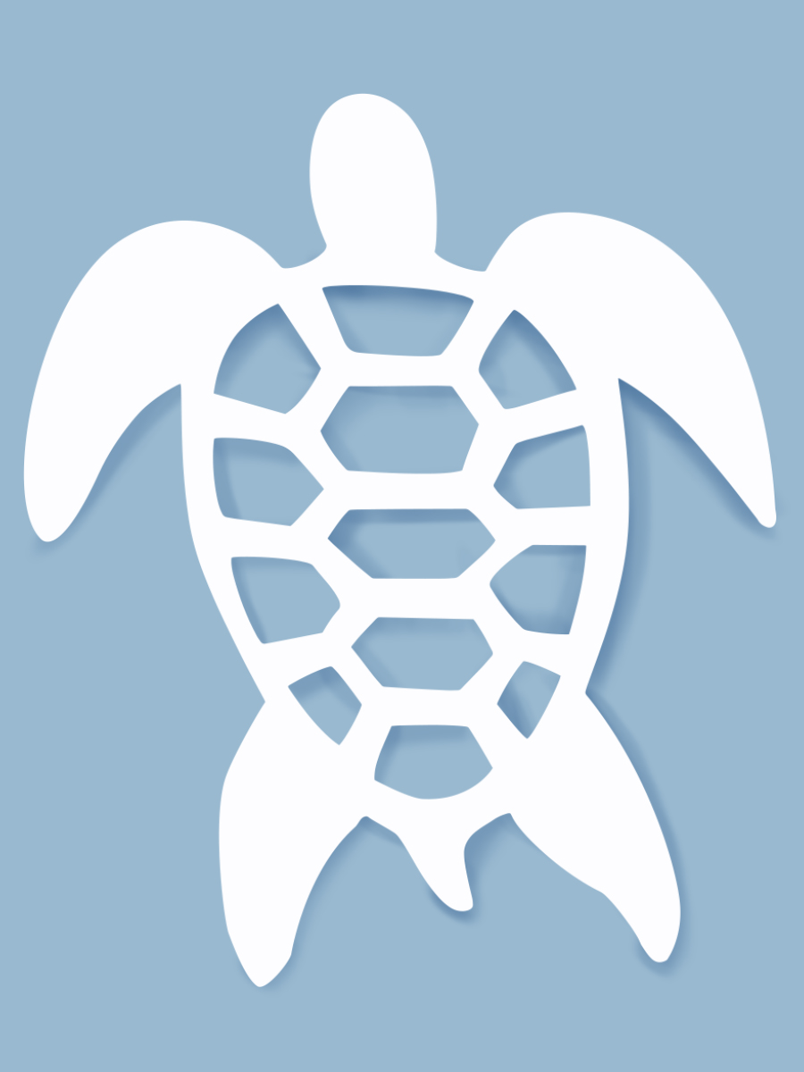 Sea Turtle Wall Art | Nature Brackets